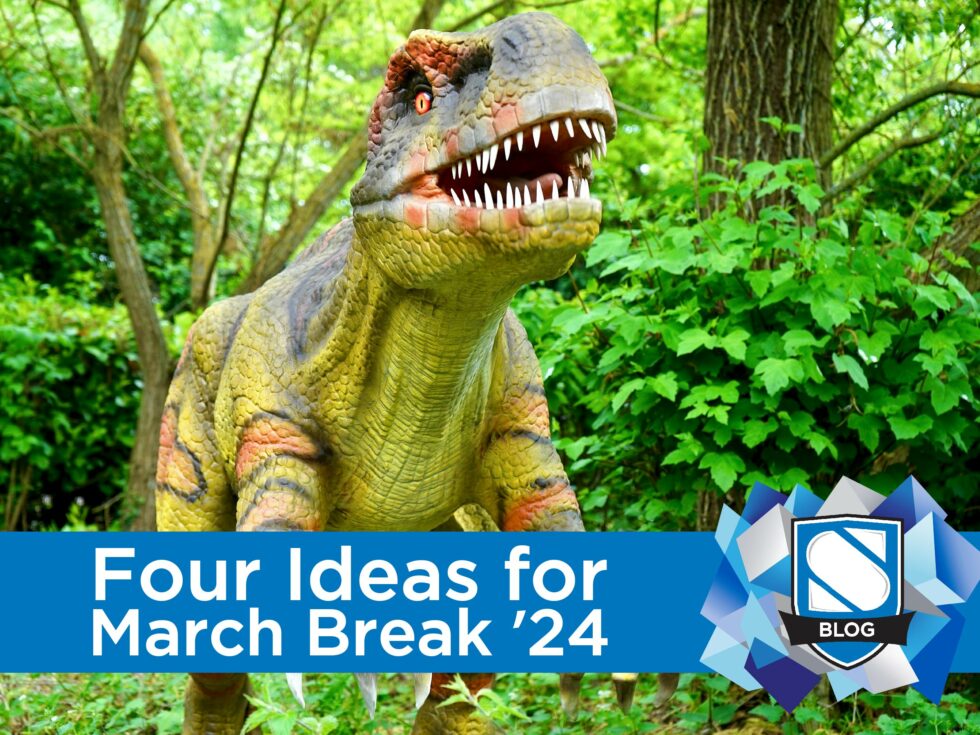 March Break Ideas in Waterloo Region - Staebler Insurance